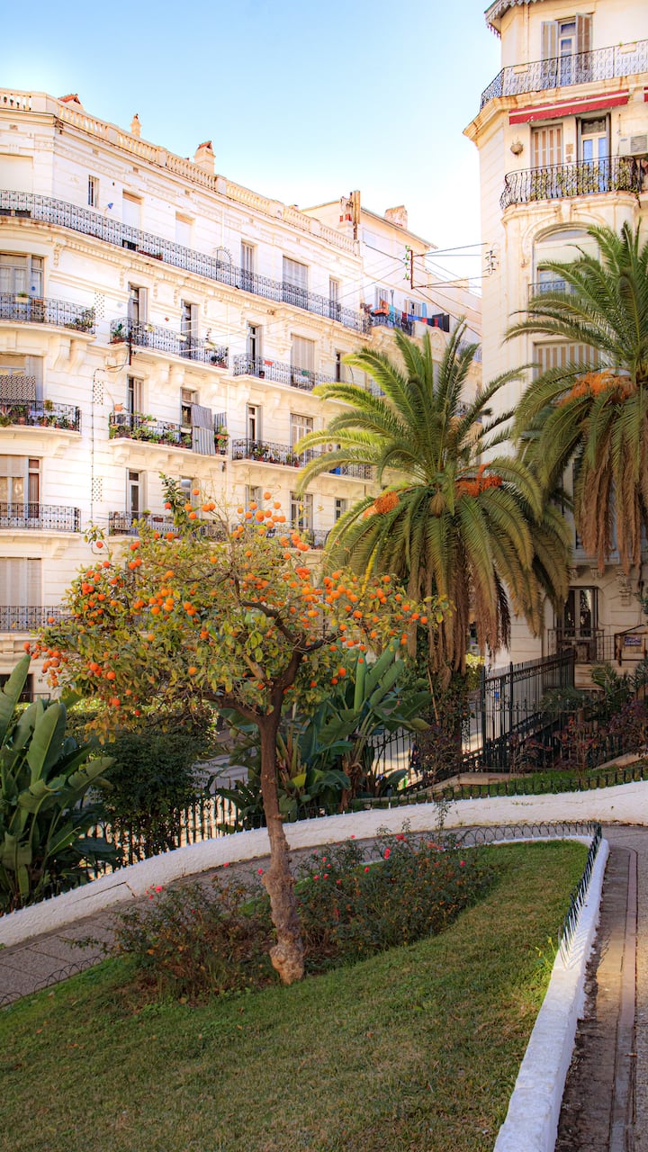 Au Cœur D'alger La Blanche - Algiers