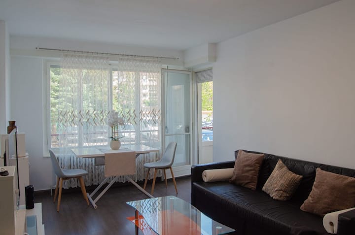 Appartement á Gaillard - Geneva