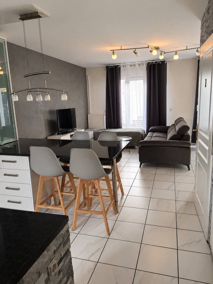 Maison Familiale 3 Chambres Près De Genève - Saint-Julien-en-Genevois