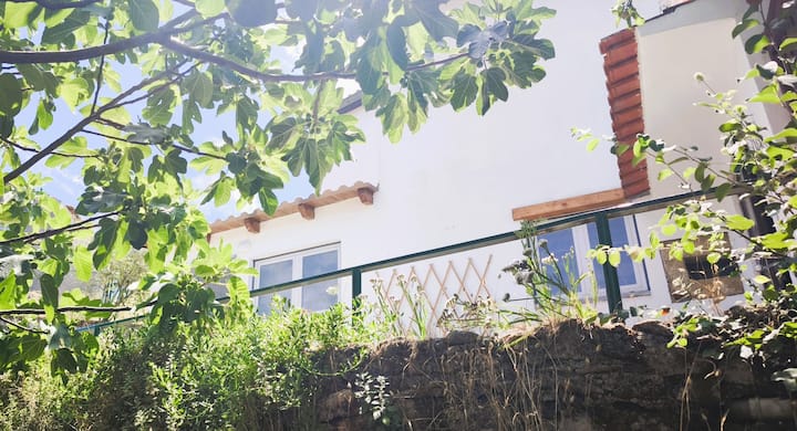 Casa Da Figueira - Castelo