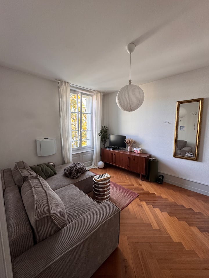 Ruhiges Apartment In Nähe Von Zentrum Und Aare - Berna