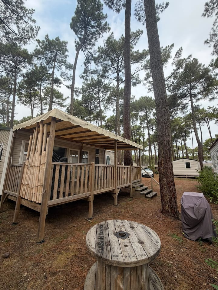 Mobil Home 2 Chambres Les Oyats Seignosse - Soustons