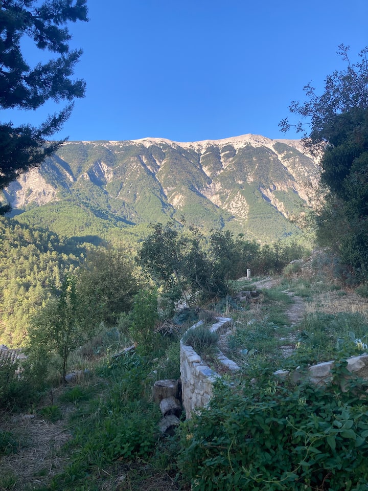 La Bergerie - Buis-les-Baronnies