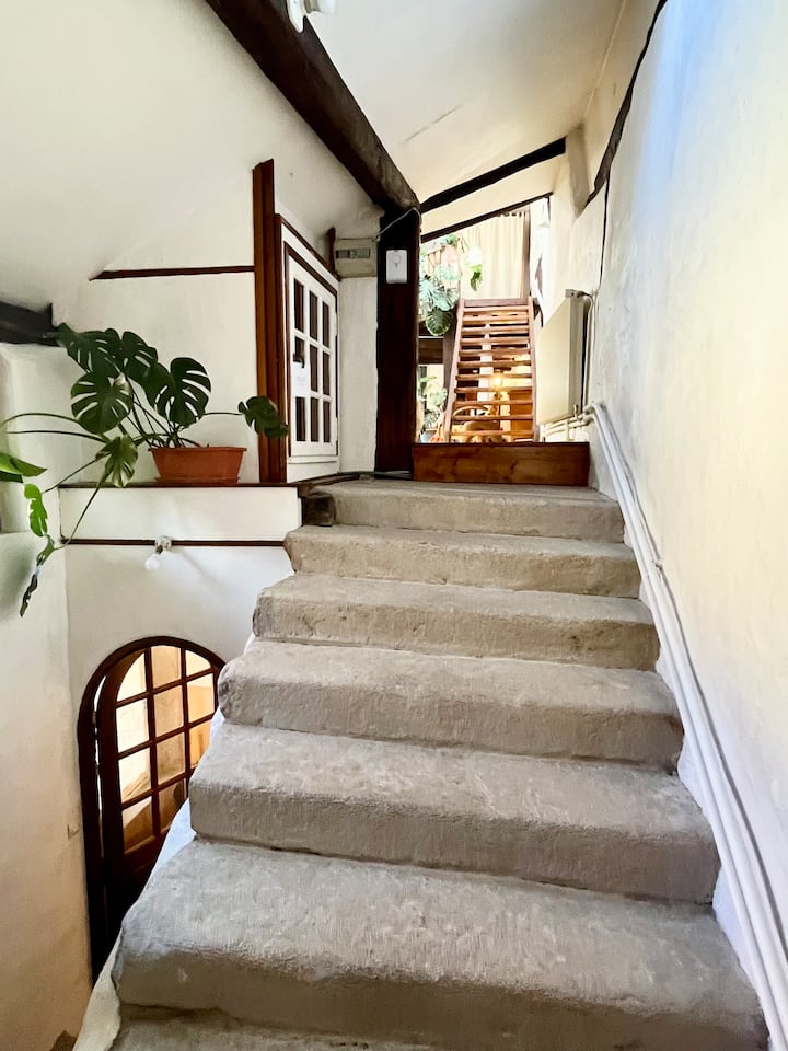 Demeure Historique En Vieille Ville - 200m² - Annecy