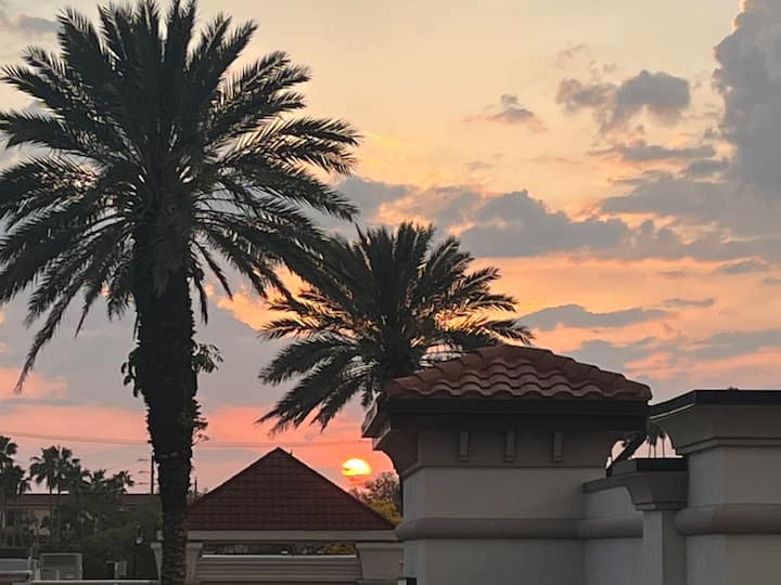 Venice Island, Downtown | Theater, Shopping, Beach - Venice, FL