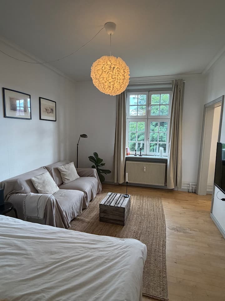 Hyggelig Et-værelses Lejlighed - Copenhague