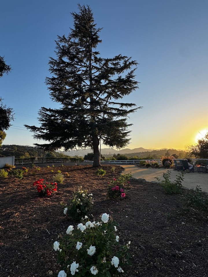 Cedar Point Ranch - Los Olivos, CA