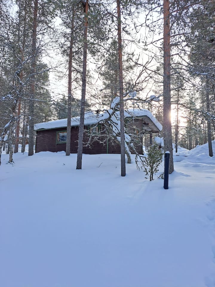 Cozy Lapland Cabin With Private Sauna - Inari