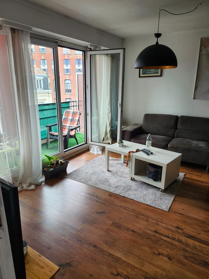 Appartement T2 Lumineux Proche Transports - Rijsel