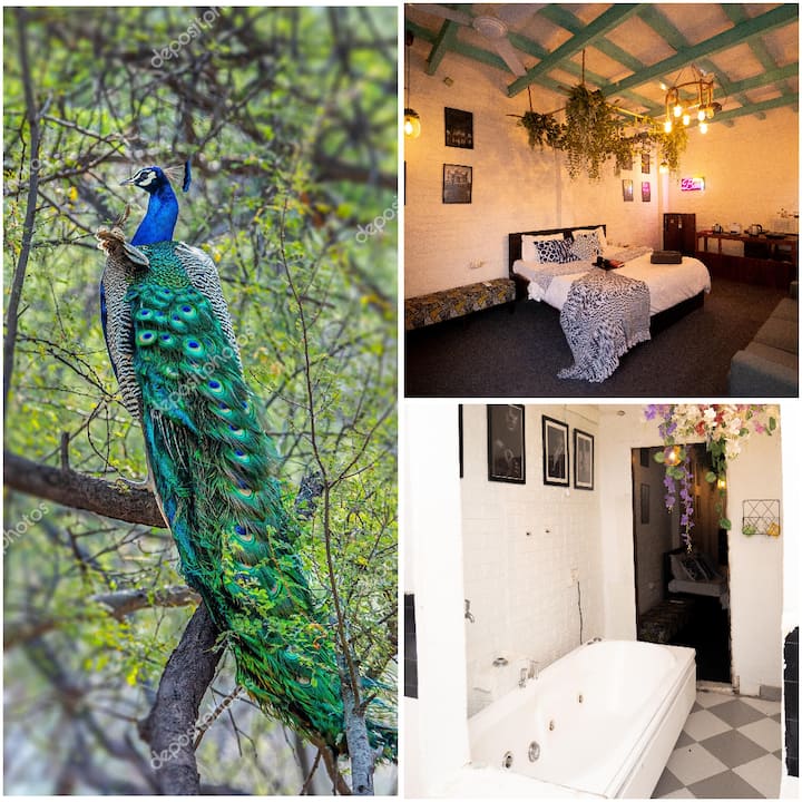 Signature Penthouse Retreat | Jacuzzi | Hauz Khas - New Delhi