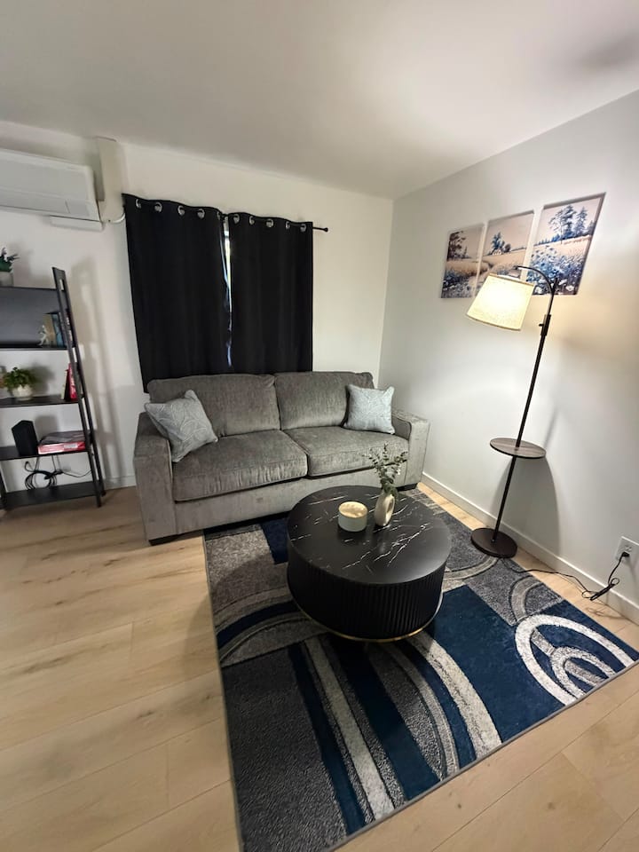 Cozy Blue Apartment Near The Downtown - Salt Lake City, UT