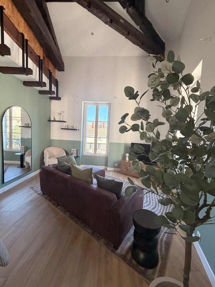 Appartement Climatisé Nîmois - Caissargues