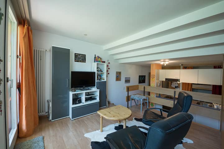 Residenza Tga Clo Appartment C15 - Savognin