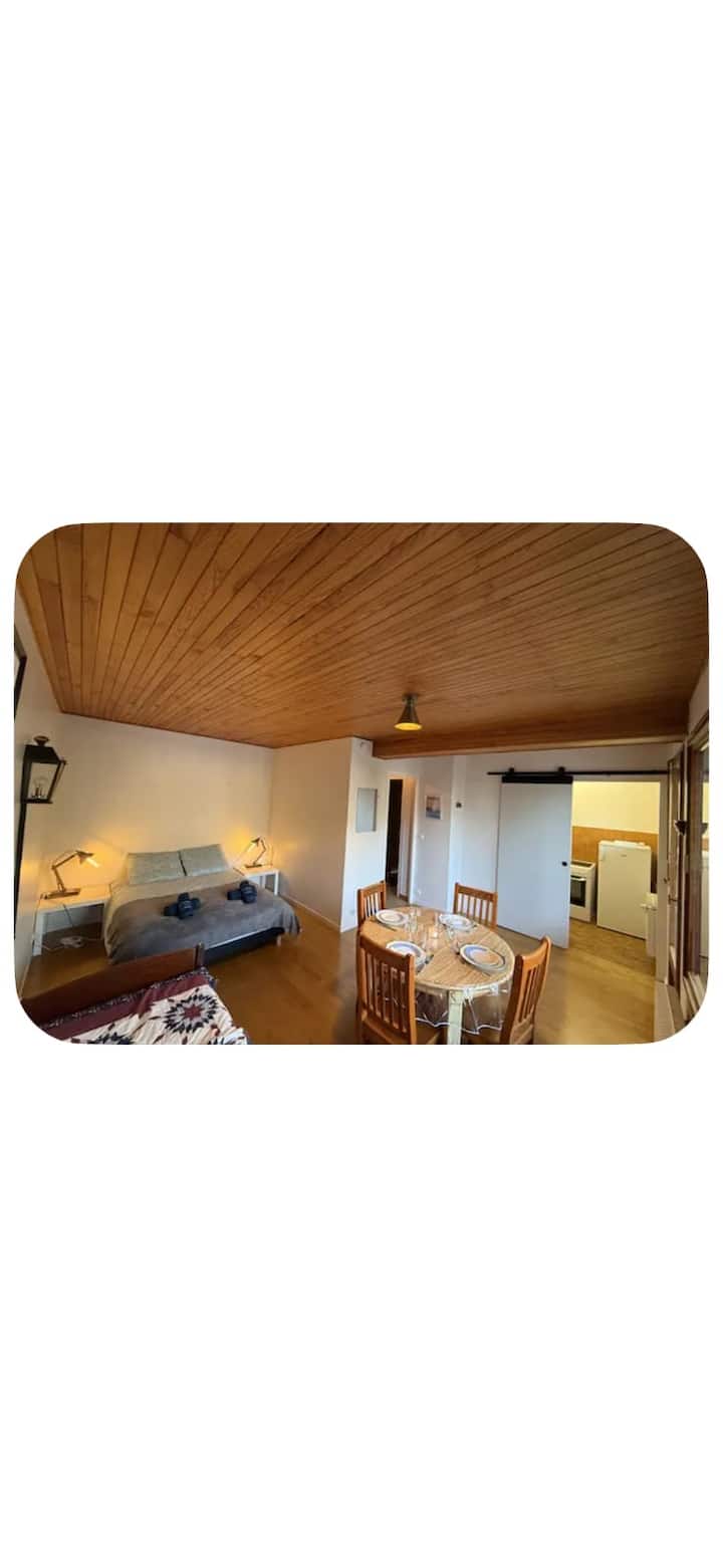 Studio Cosy Vue Montagne Au Cœur De Morzine 1000 - Morzine