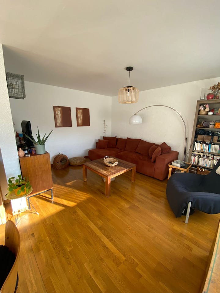 Appartement Spacieux, Lumineux, Terrasse, Garage - Lingolsheim