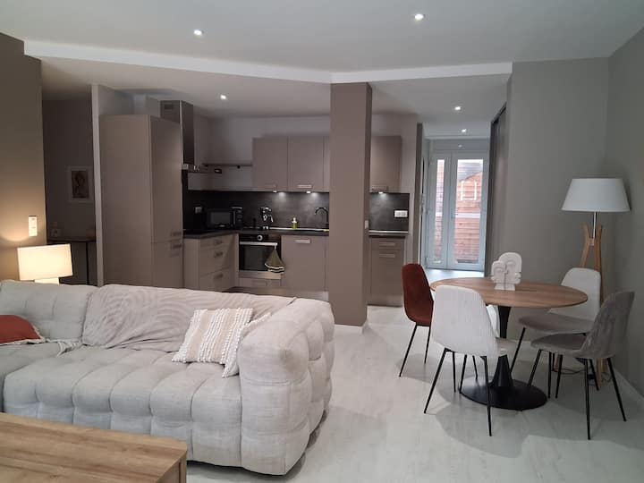 Appartement Centre-ville - Millau