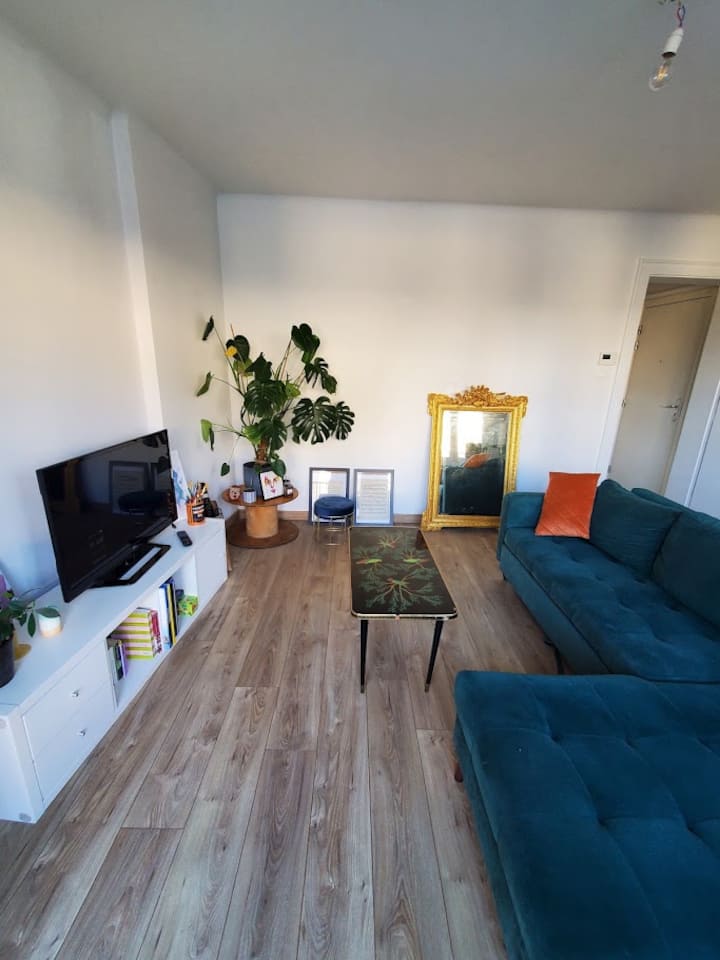 Appartement Lumineux Proche Temple Neuf - Metz