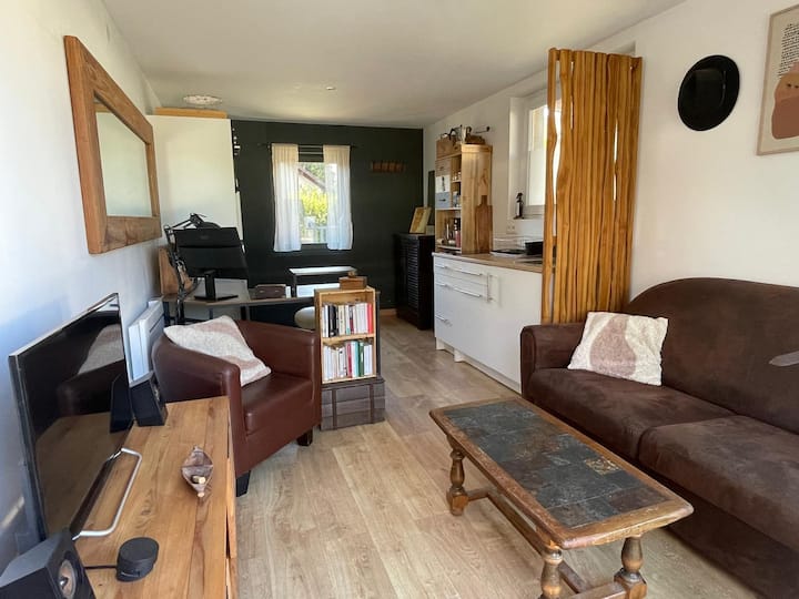 Appartement Cosy Et Chaleureux - Rumilly