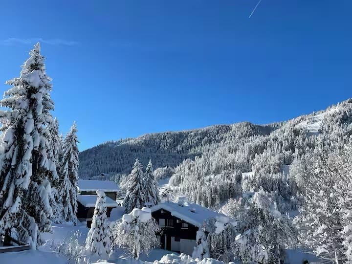 Le Cocon / 8 Pers /Proche Piste / Terrasse - La Clusaz