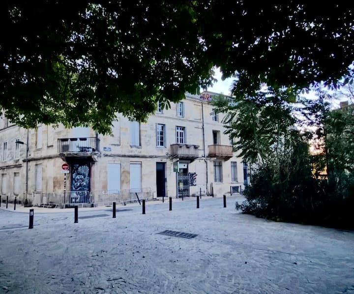 Appartement Meublé Chambre Séparée Cœur De Ville - Bordeaux