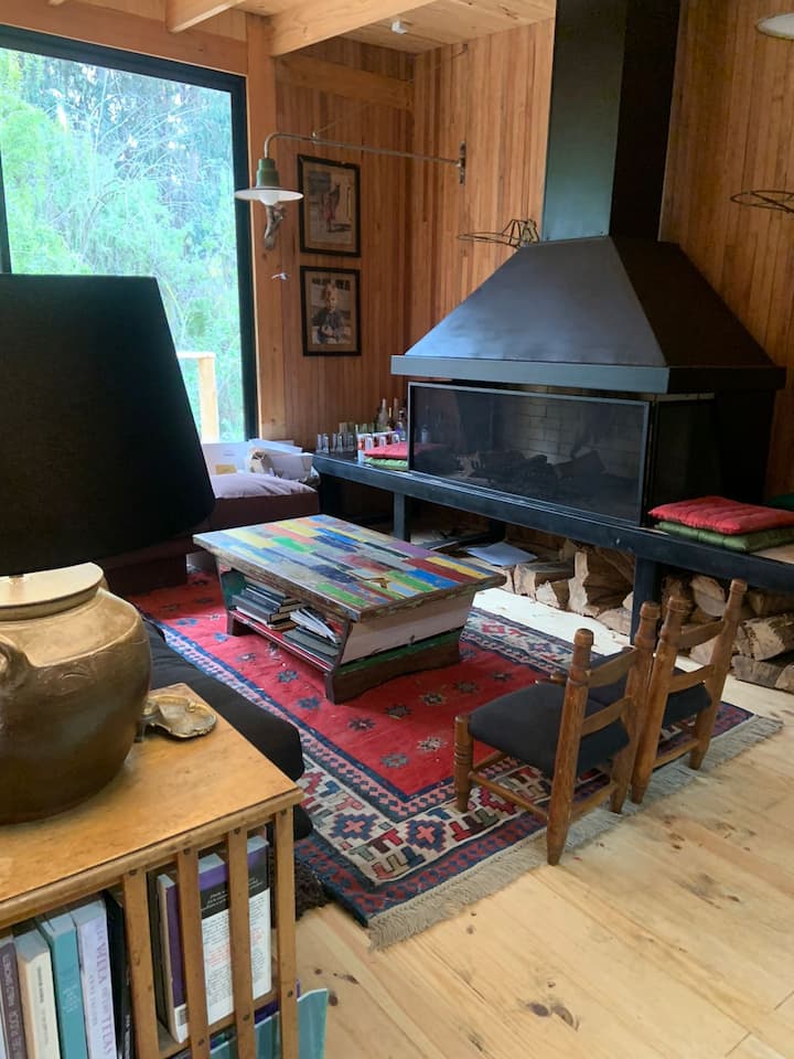 Casa En El Bosque De Aguas Claras, Cachagua - Zapallar