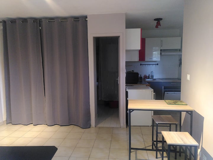 Appartement Calme Avec Grand Salon Et Terrasse - Grenoble