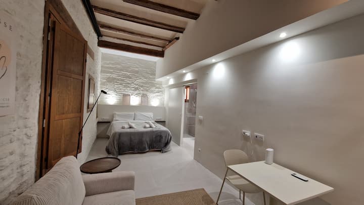 Estudio Centro Histórico 101 - Valencia