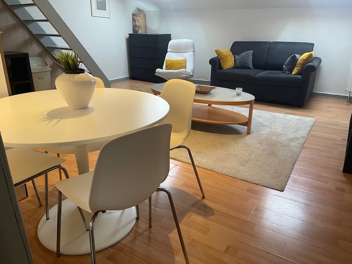 Duplex Chaleureux Au Cœur Dixelles - Ixelles