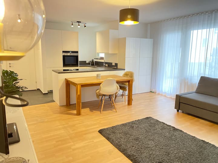 Modernes Apartment Mit Terrasse In Bregenz - Bregenz