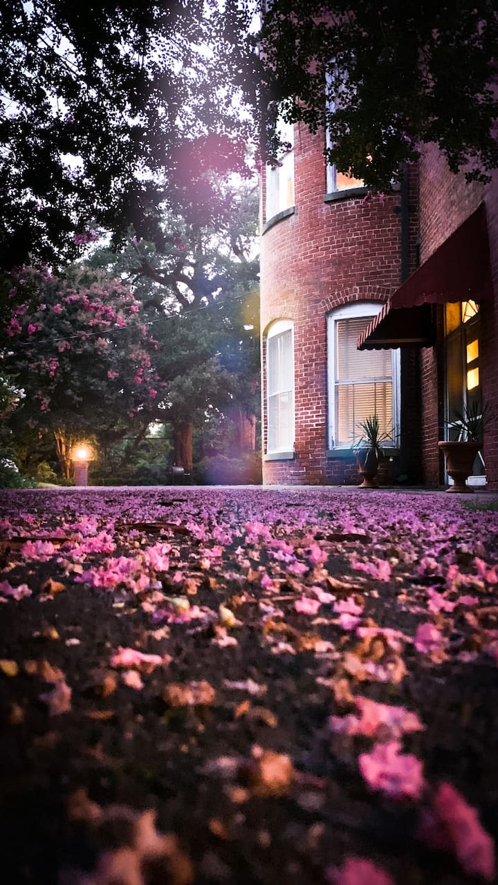 Suite 2: Historic Charm With Modern Comforts - Monroe, LA