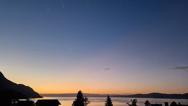Vue Sur Lac Léman Et Sérénité - Montreux