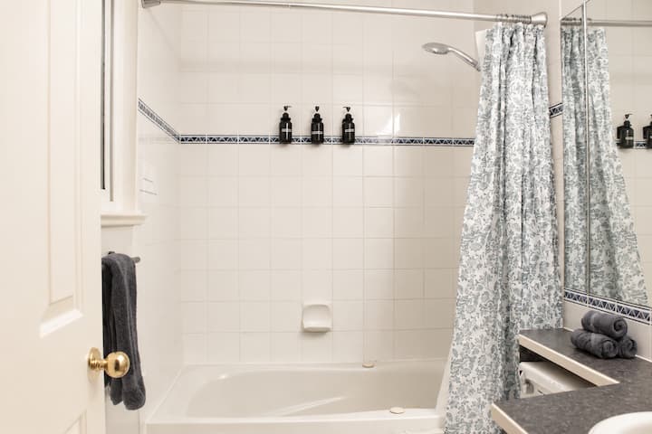 Langara 3br | Near Skytrain & Main St - Vancouver