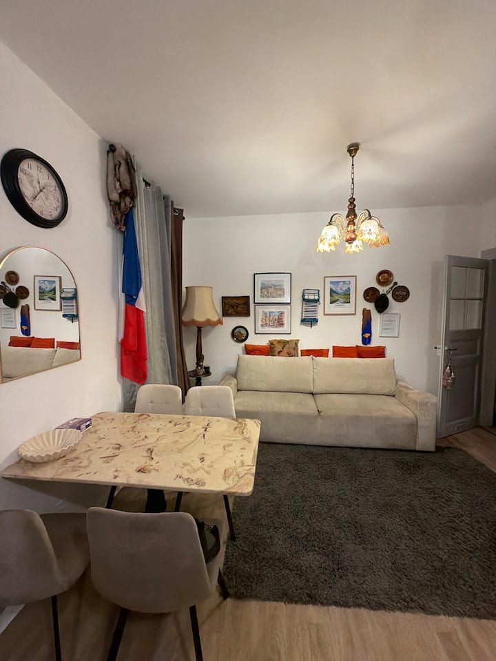 Magnifique T2 Meublé Et Tout éQuipé - Haguenau