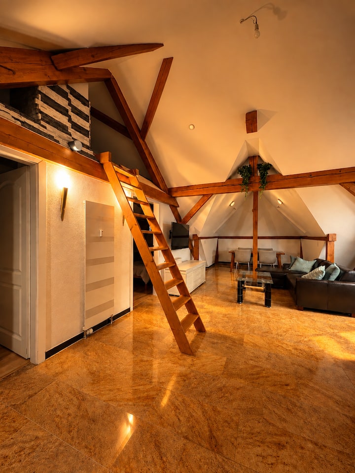 Charming 2 Room Loft, Near Messeplatz - Basel