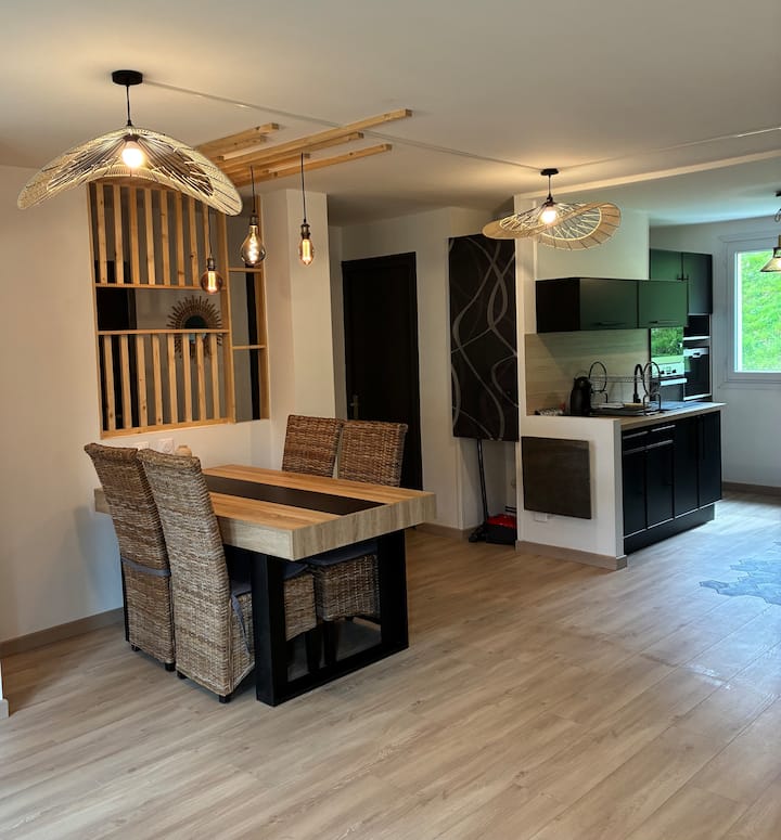Appartement Cosy Rénové Proche Bellevue - Saint-Étienne