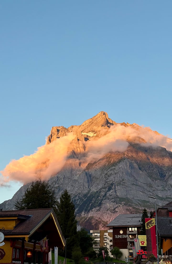 Ski Lehrer Wohnung - Grindelwald