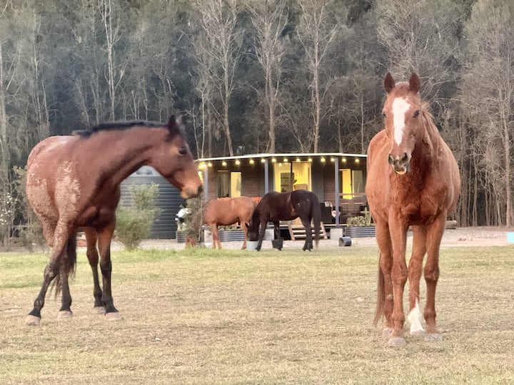 Country Entertainer Off Grid Eco Cabin - Hunter Region