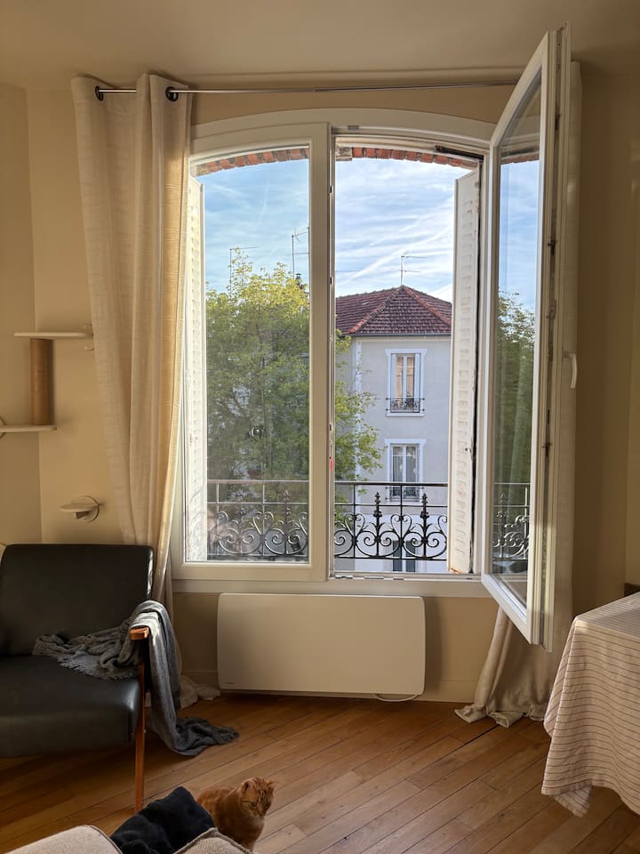 Petit Cocon Au Pied De Paris, Et Bords De Marne - Maisons-Alfort
