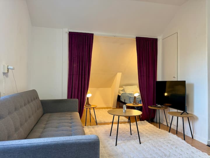 Work Stay | 3 Single Beds | Free Parking - Göteborg