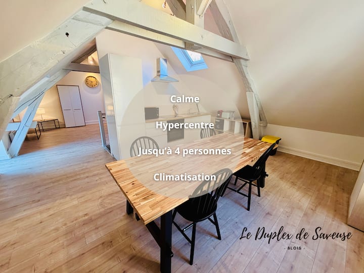 Nouveau ! Calme, Hypercentre, Clim, Duplex 2 Ch - Blois