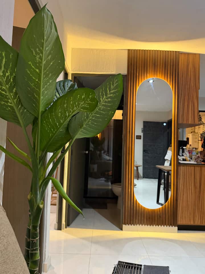 Casa Helecho | Departamento Con Terraza Privada - Ciudad Guzmán