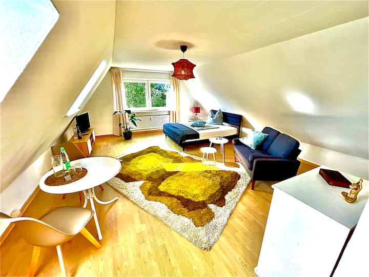 Apartment In Unmittelbarer Nähe Der Hannover-messe - Hannover