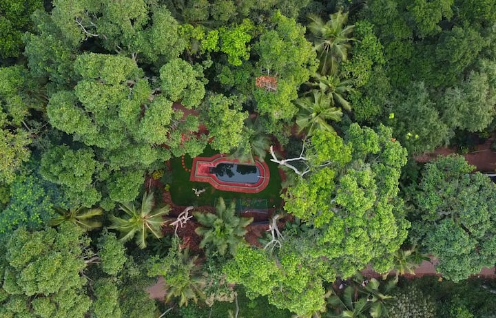 The Grove | Tropical Retreat With Natural Pool - Kovalam