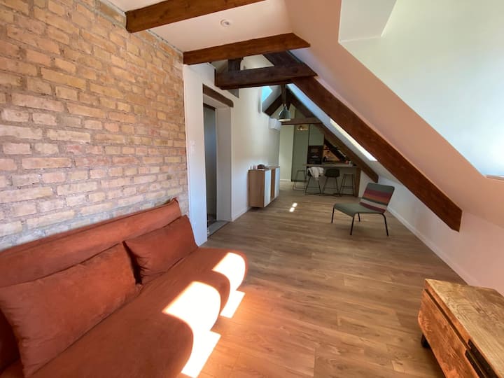 Appartement Sous Les Toits, Calme Et Central - Strasburgo