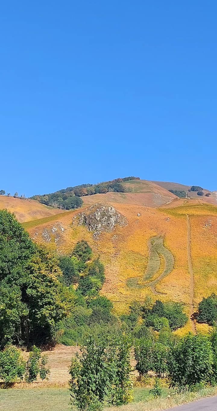 Au Cœur Du Village - Vallée d'Aspe