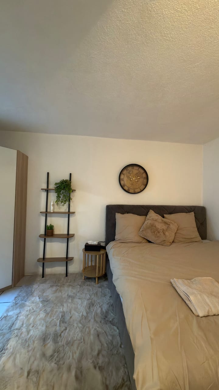 Studio, Meublé, Mulhouse Centre - Mulhouse