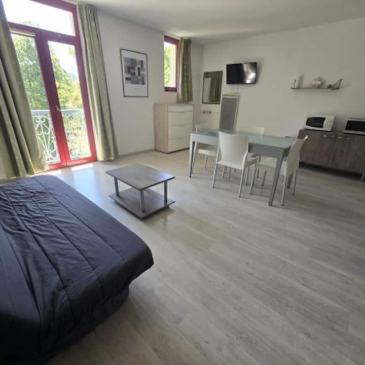 Appartement Meublé Allevard Centre / Thermes - Allevard