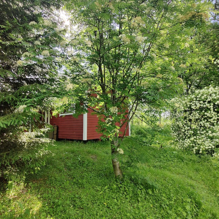 Mökki Ja Pihapiiri Maaseudun Rauhassa - Joensuu
