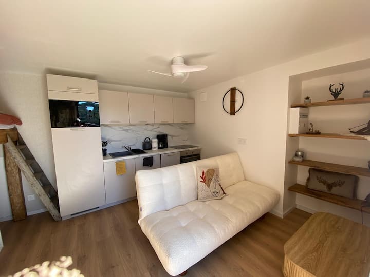 Studio Neuf Dans Hameau - Talloires-Montmin