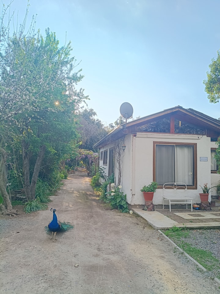 Cabaña Familiar - Isla de Maipo